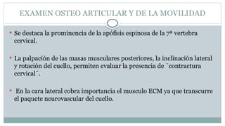SEMIOLOGIA Y SEMIOTECNIA_DEL_CUELLO.pptx