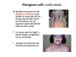 SEMIOLOGIA DEL CUELLO | PPTX