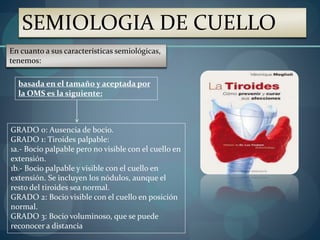 semiologia del cuello | PPTX