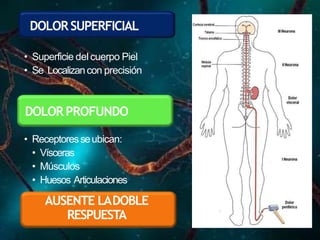Semiologia del dolor | PPTX