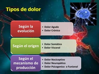 Semiologia del dolor | PPTX