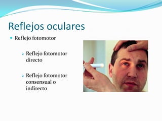 Semiologia Del Ojo | PPTX