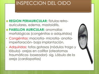 Semiologia de los oidos | PPTX