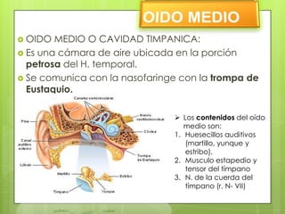 Semiologia de los oidos | PPTX