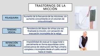 Semiologia de los sintomas del aparato urinario Clínica.pptx