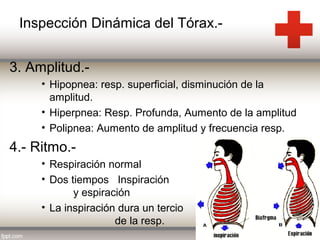 Semiologia del sistema respiratorio | PPT