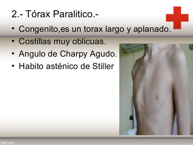Semiologia del sistema respiratorio
