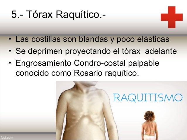 Semiologia del sistema respiratorio