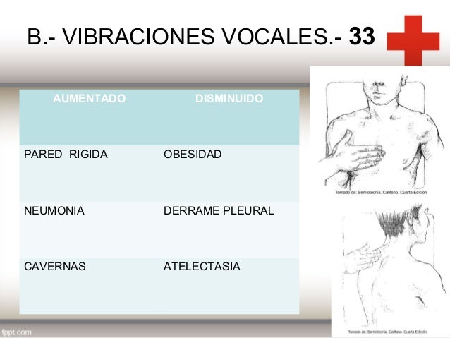 Semiologia del sistema respiratorio