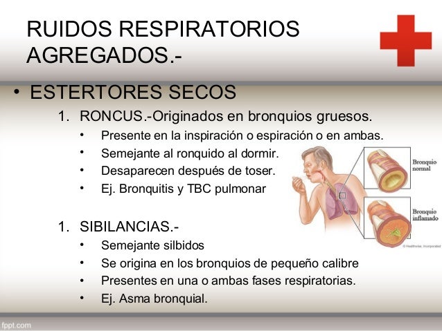 Semiologia del sistema respiratorio