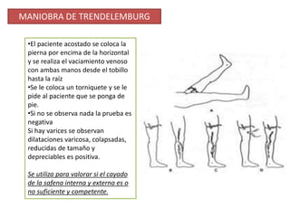 semiologia del sistema vascular periferico Ruth.pptx