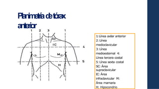 semiologiadeltorax- teoría -180602062519.pptx
