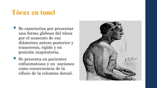 Semiologia del torax | PPT