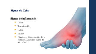 Semiologia del torax | PPT