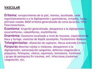 Semiologia dermatologica clase 1 | PPTX