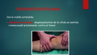 semiologia de rodilla.pptx