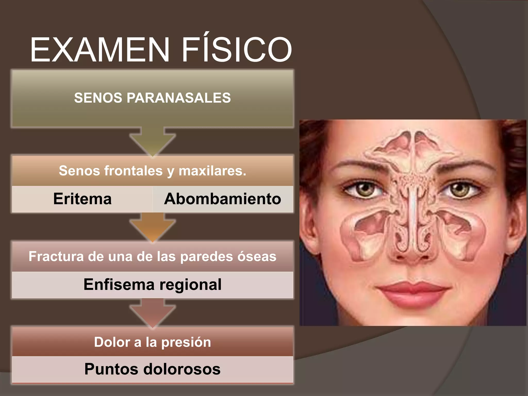 Semiologia de senos paranasales y radiologia y anatomia de seno maxil…