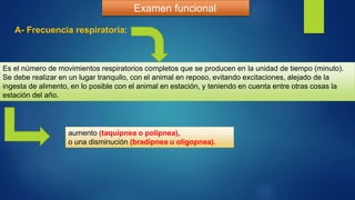 semiologia de sistema respiratorio.pptx