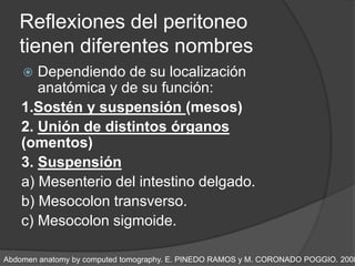 Semiologia de tc y rm abdomen | PPTX
