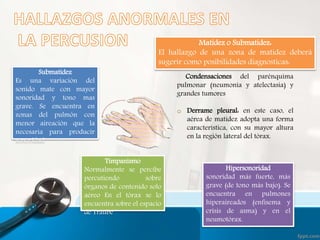 Semiologia de torax pediatrica | PPTX