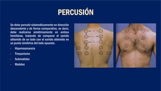 SEMIOLOGIA DE TÓRAX | PDF