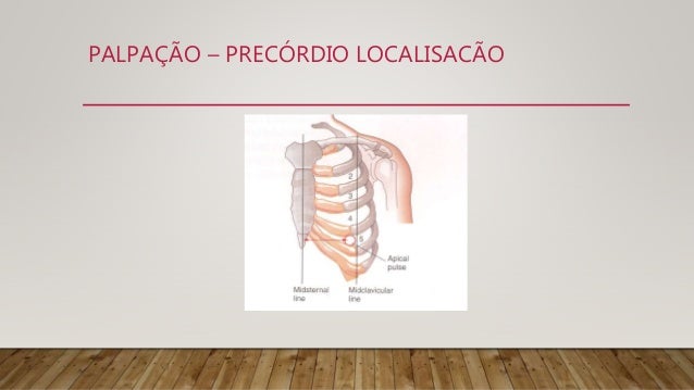Semiologia do coração(sistema cardiovascular,new