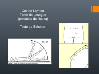 Semiologia do sistema locomotor apendicular.pptx
