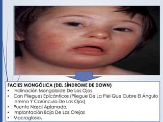 Semiologia general | PPT