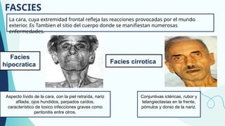 Semiologia generalidadess cabezaa cuello | PPTX