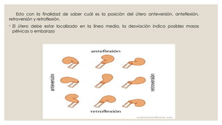 SEMIOLOGIA GINECOLOGICA del aparato reproductor femenino | PPTX