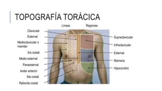 Semiologia medica_Ex. fisico respiratorio.pptx