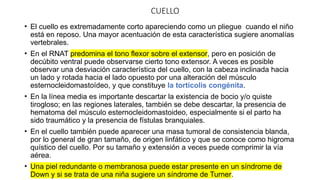 SEMIOLOGIA NEONATAL SIGNOS DE ALARMA.pptx