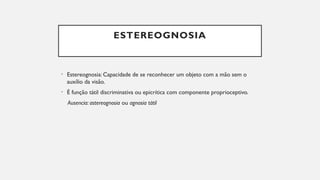 SEMIOLOGIA+NEUROLOGIA_neuropatias.pptxxxx | PPTX