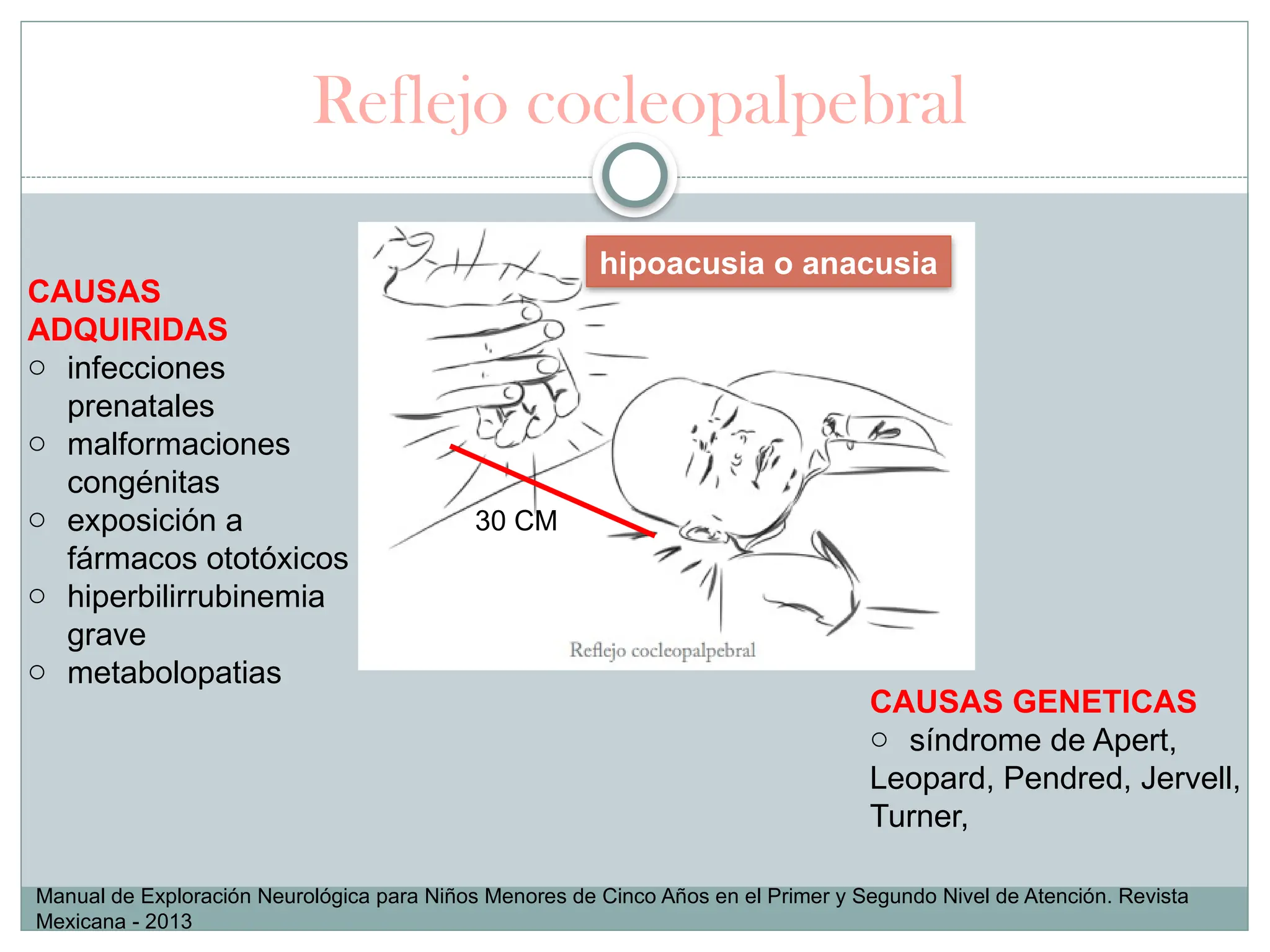 semiologia neurologica.pptxbdbdbdbddnsbbb | PPTX