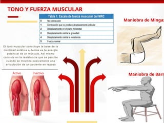 SEMIOLOGIA neurológica y abordaje de síntomas | PPTX