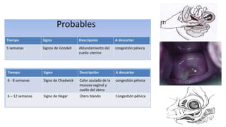SEMIOLOGIA OBSTETRICA detallado en el area de ginecologia ocr.pdf
