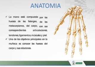SEMIOLOGIA ORTOPEDICA DE MANO Y MUÑECA.pptx