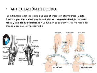 SEMIOLOGIA ORTOPEDICA GENERALIDADES.pptx