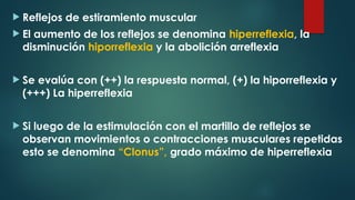 SEMIOLOGIA OSTEOARTICULAR Oficial para medicina | PPTX