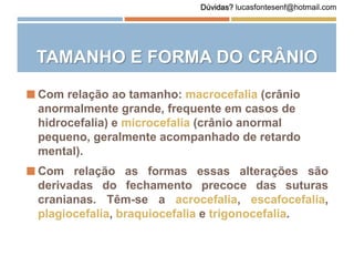 Semiologia para Enfermagem No Caminho da Enfermagem Lucas Fontes | PPTX