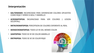 SEMIOLOGIA PARES CRANEALES para estudios | PPTX
