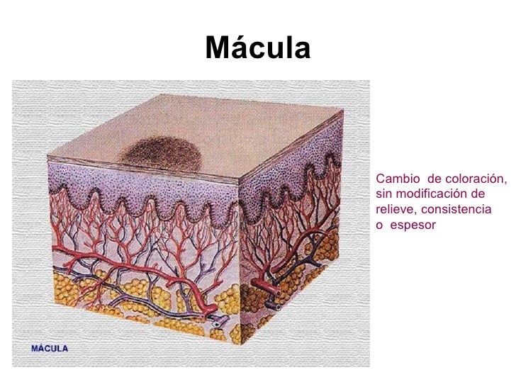 Semiologia Patologia Piel Unal