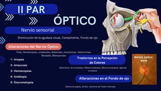 SEMIOLOGIA PATOLOGICA DE LOS PARES CRANEALES.pdf