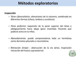 Semiologia pulmonar | PPTX