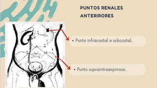 SEMIOLOGIA RENAL.pptx