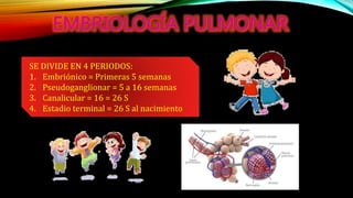 Semiologia respiratoria | PPTX