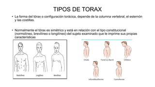 Exploración del tórax y del sistema respiratorio.pptx