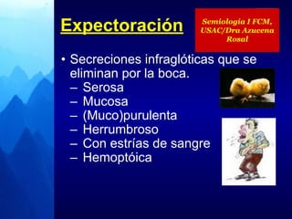 Semiologia del aparato respiratorio para medicina | PDF