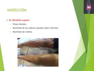 examen semiologico de la rodilla en clinica forense | PPT