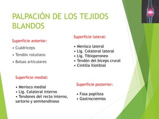 examen semiologico de la rodilla en clinica forense | PPT
